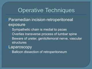 Sympathectomy for pheripheral arterial disease present role | PPTX