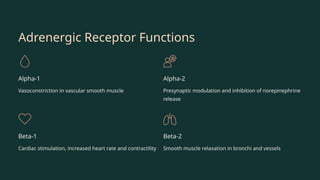 Sympathetic Nervous System in Pain Medicine | Anatomy, CRPS ...