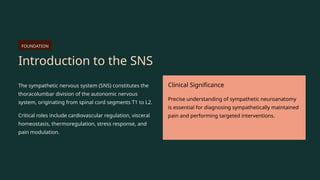 Sympathetic Nervous System in Pain Medicine | Anatomy, CRPS ...