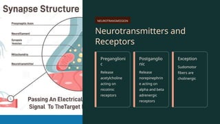 Sympathetic Nervous System in Pain Medicine | Anatomy, CRPS ...