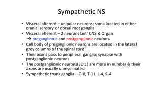 Sympathetic nervous system | PDF