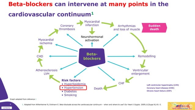 sympatheticoverdriveinhypertension ppt.pptx
