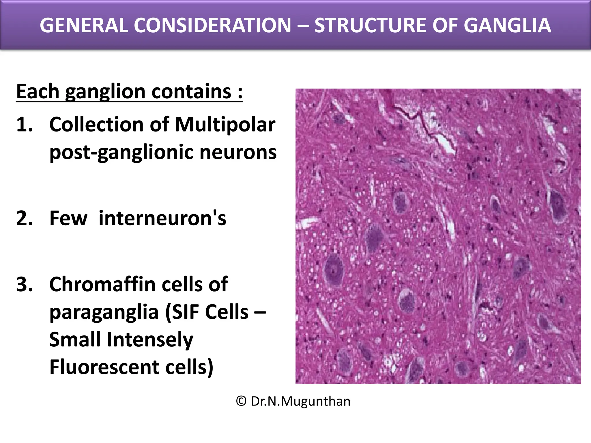 SYMPATHETIC SYSTEM & CERVICAL SYMPATHETIC CHAIN -Prof.Dr.N.Mugunthan ...
