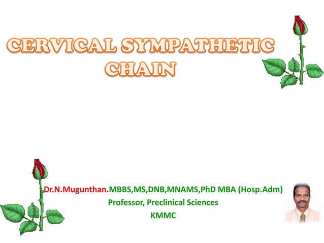 SYMPATHETIC SYSTEM & CERVICAL SYMPATHETIC CHAIN -Prof.Dr.N.Mugunthan ...