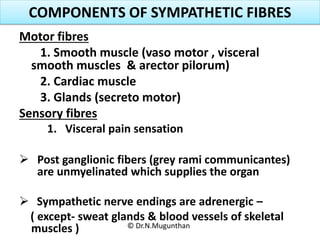 SYMPATHETIC SYSTEM & CERVICAL SYMPATHETIC CHAIN -Prof.Dr.N.Mugunthan ...