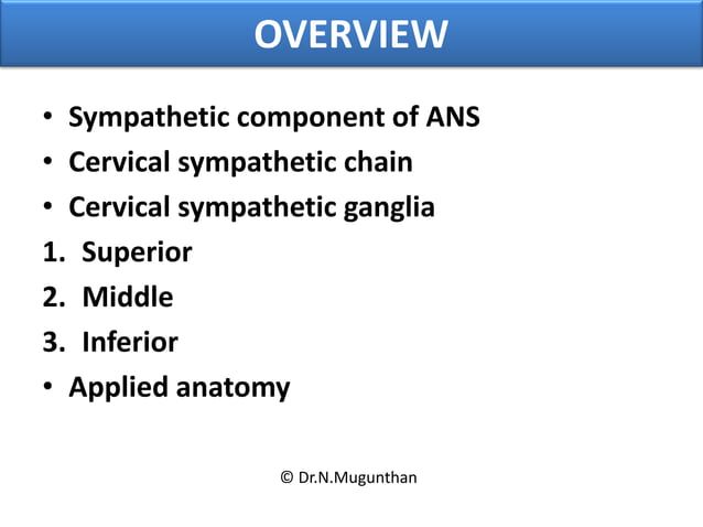 SYMPATHETIC SYSTEM & CERVICAL SYMPATHETIC CHAIN -Prof.Dr.N.Mugunthan ...
