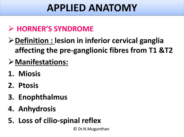 SYMPATHETIC SYSTEM & CERVICAL SYMPATHETIC CHAIN -Prof.Dr.N.Mugunthan ...