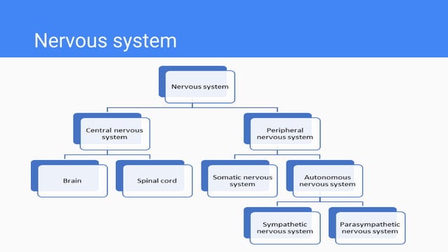 Sympatholytic agents.pptx