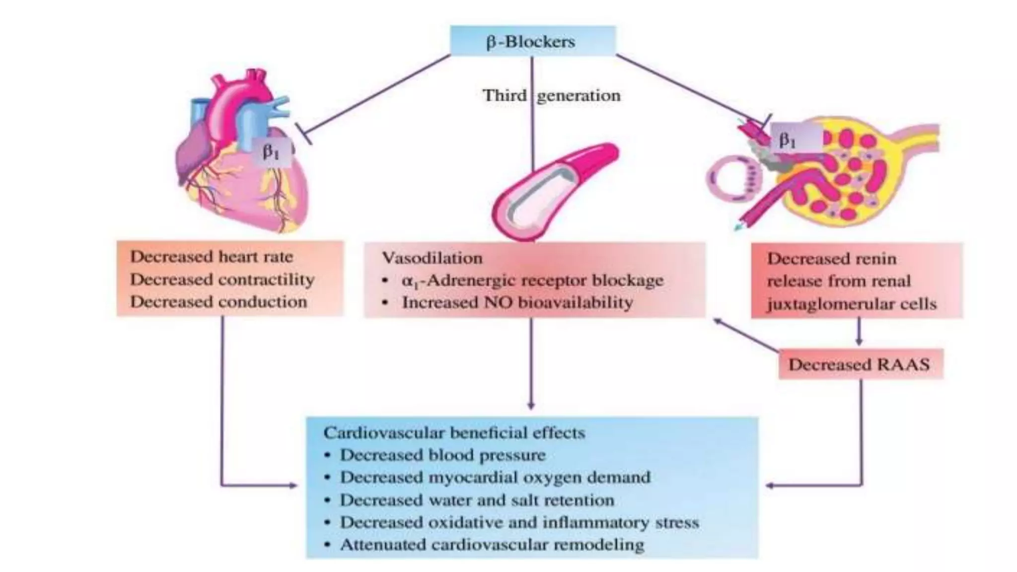 Sympatholytic drugs | PPTX