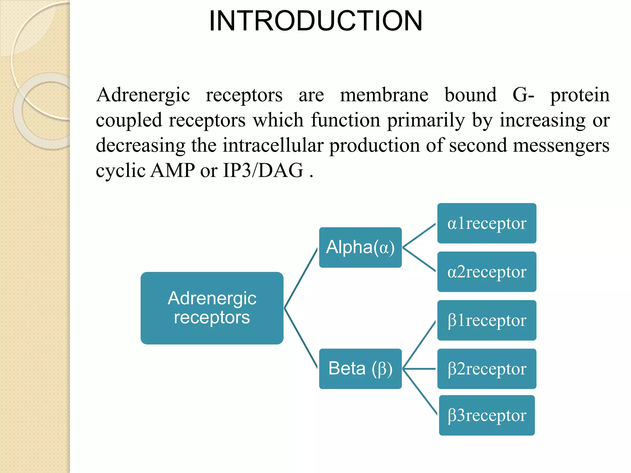 Sympatholytics | PPTX