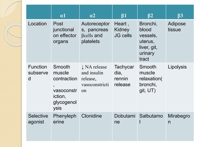 Sympatholytics | PPTX | Chemistry | Science