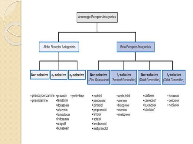 Sympatholytics | PPTX | Chemistry | Science