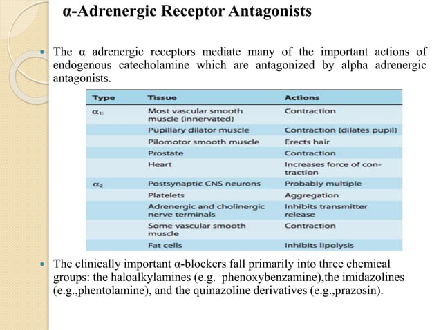 Sympatholytics | PPTX | Chemistry | Science
