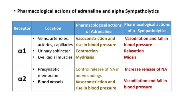 Sympatholytics.pptx | Heart and Cardiovascular Diseases | Diseases and ...