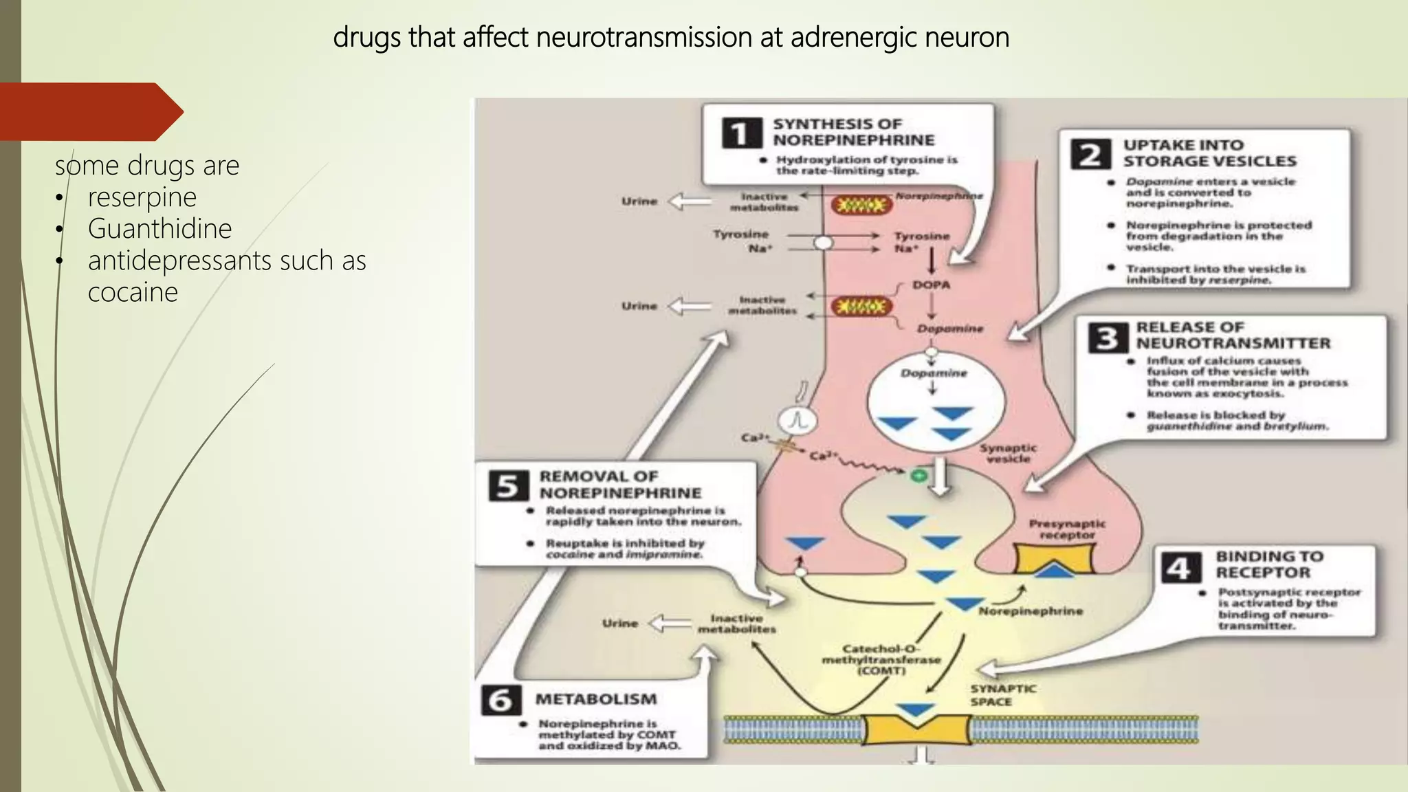 Sympatholytics | PPTX