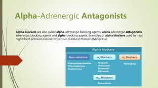 Sympatholytics | PPTX | Heart and Cardiovascular Diseases | Diseases ...