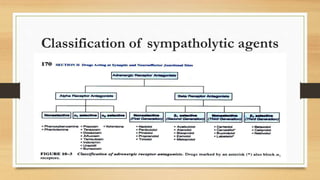 Sympatholytics (dr ibanda) | PPTX