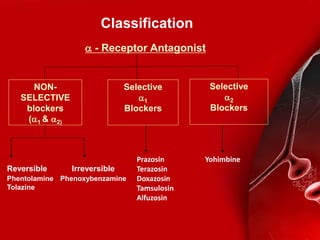 Sympatholytics or Adrenergic Antagonists | PPTX