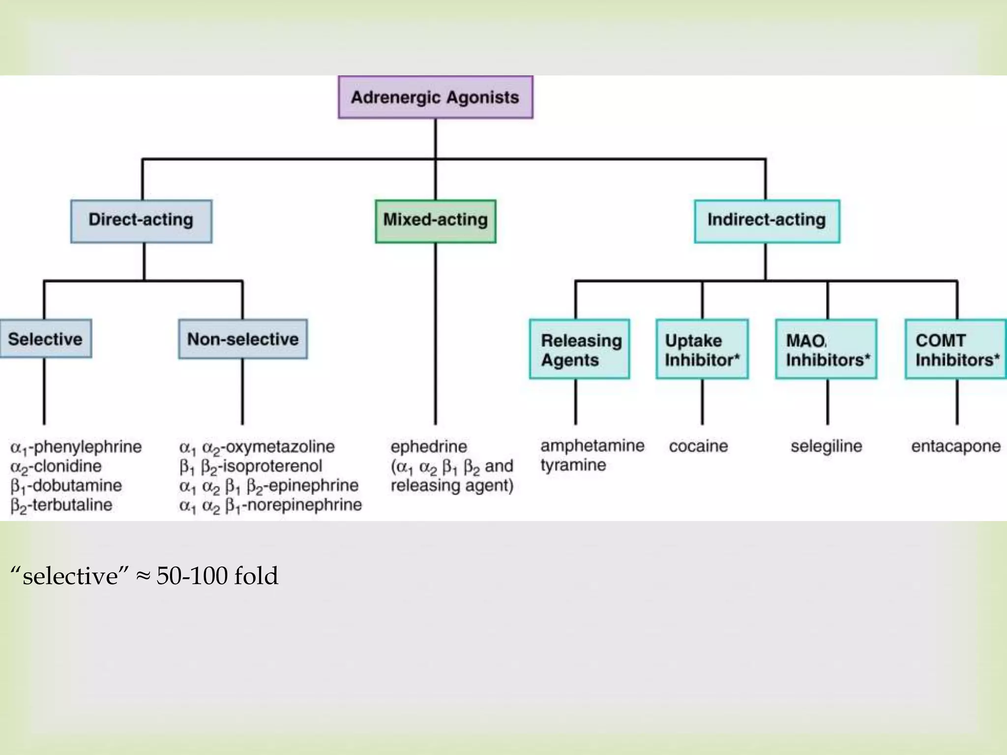 Sympathomimetic | PPTX