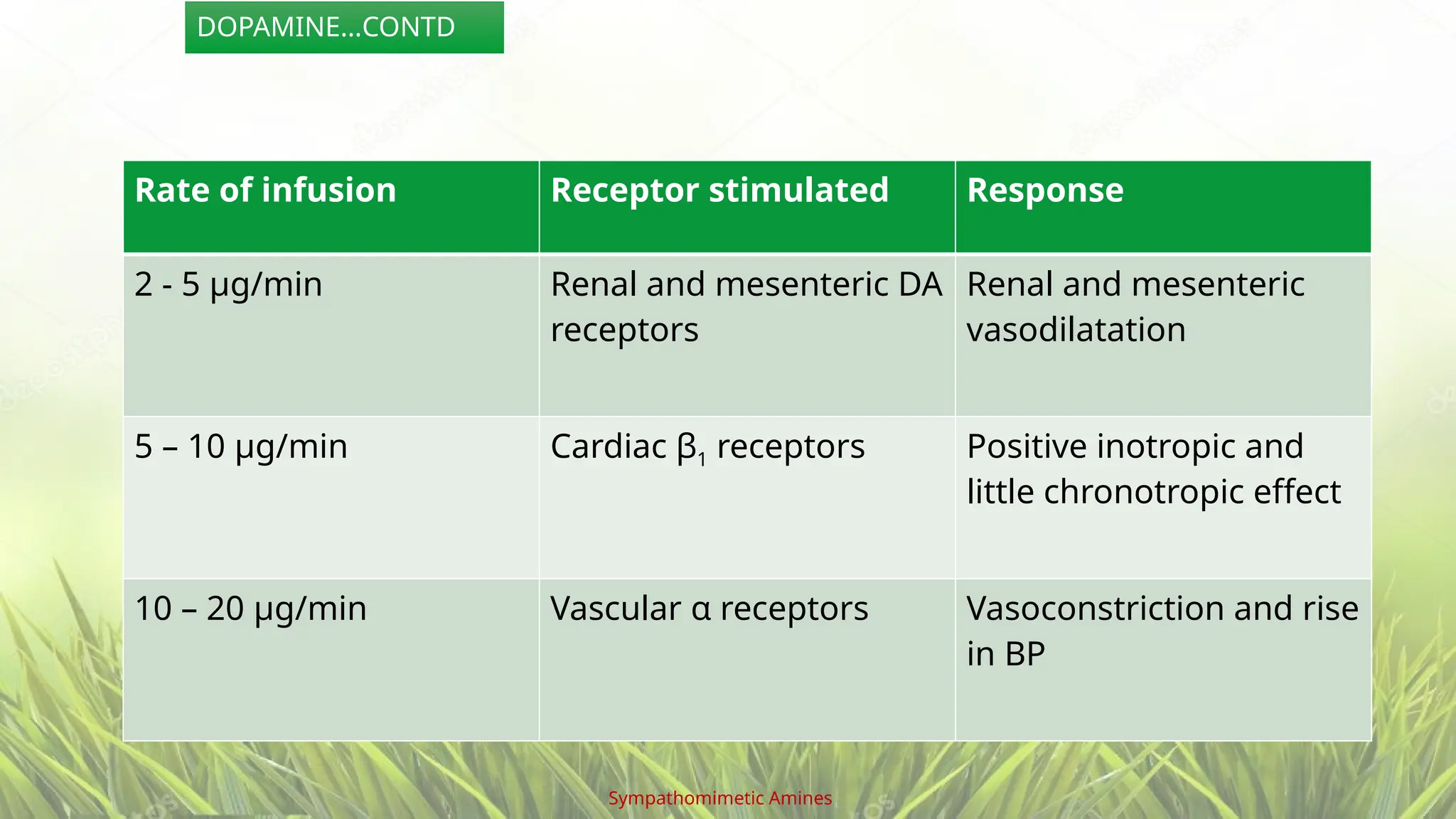 Sympathomimetic Amines.presentation, rahul gholse | PPTX