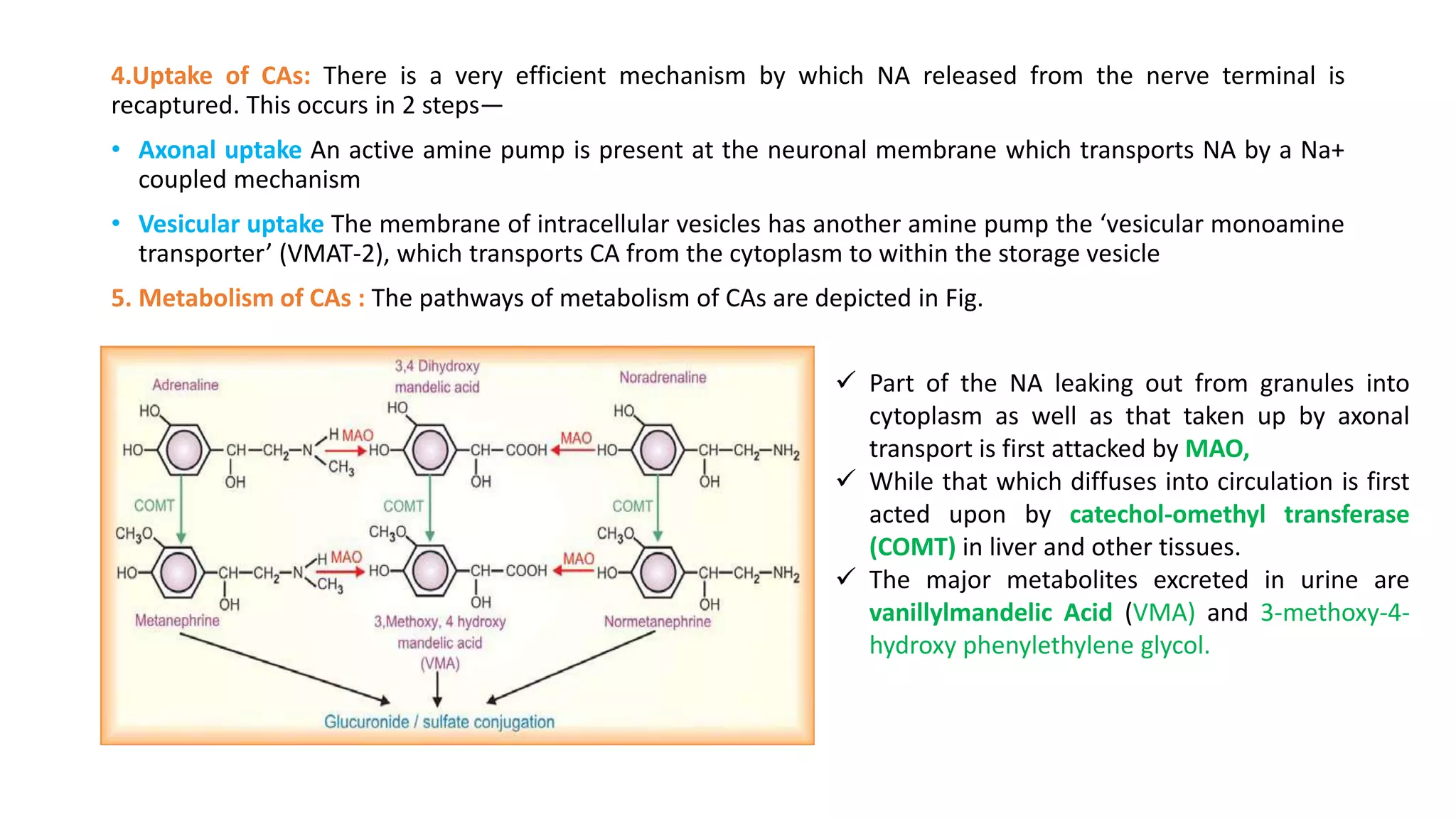 Sympathomimetic drugs | PPTX