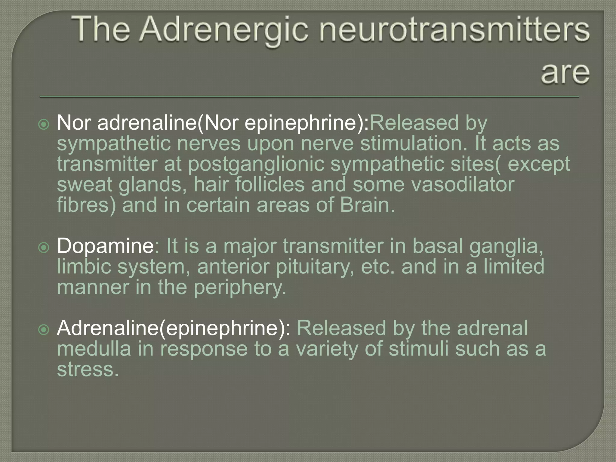 Sympathomimetic drugs | PPTX