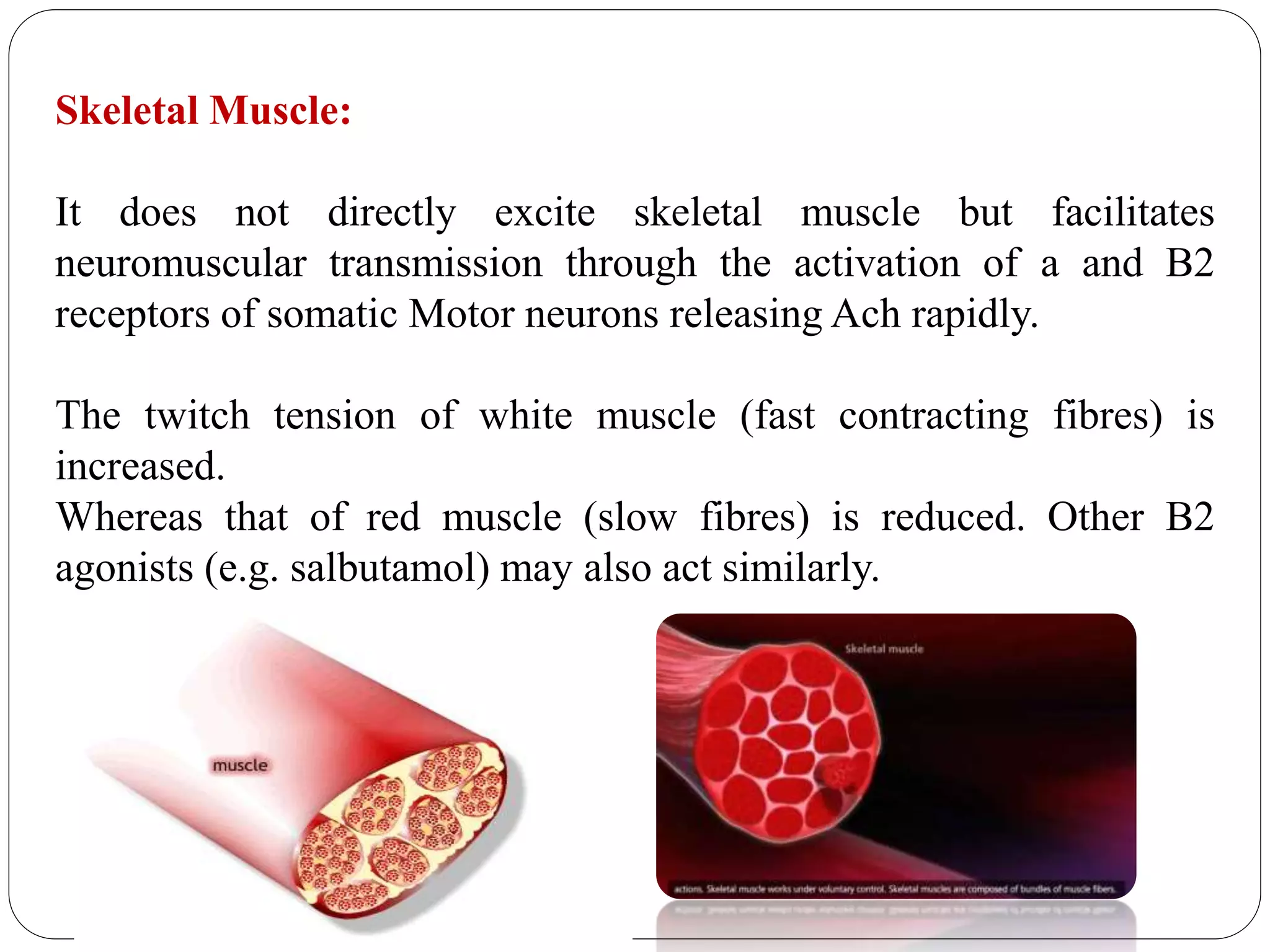 Sympathomimetic Drugs | PPTX