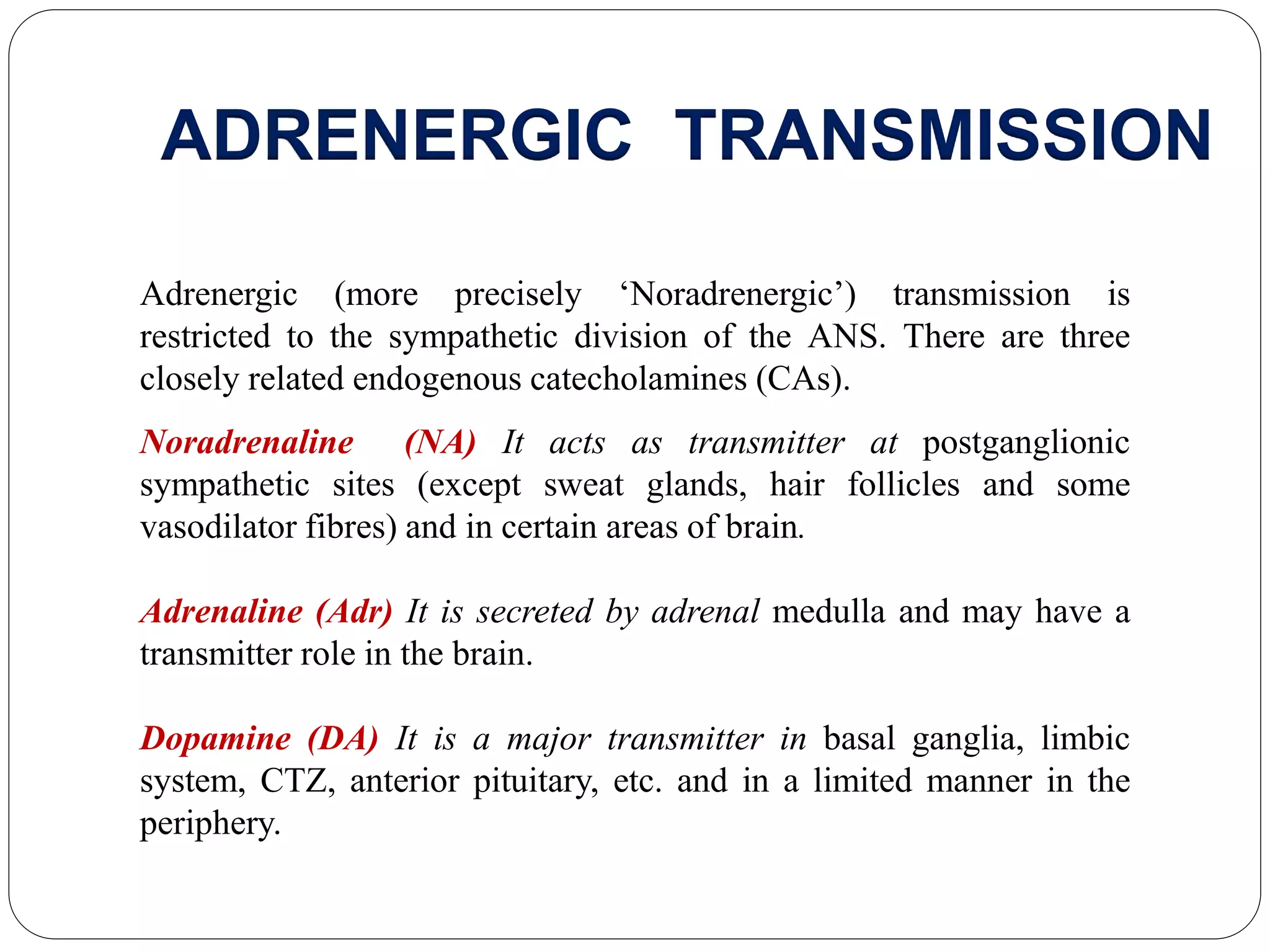Sympathomimetic Drugs | PPTX