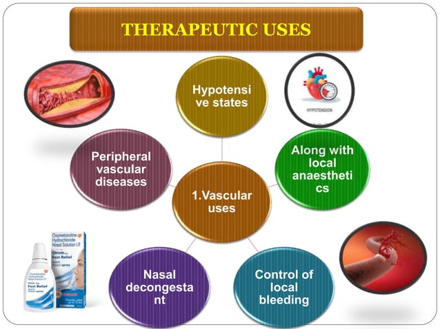 Sympathomimetic Drugs | PPTX | Chemistry | Science