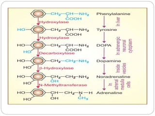 Sympathomimetic Drugs | PPTX