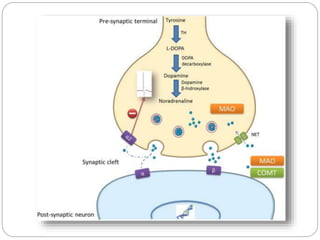 Sympathomimetic Drugs | PPTX
