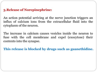 sympathomimeticdrugsppt-210519082222 (1).pptx