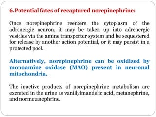 sympathomimeticdrugsppt-210519082222 (1).pptx