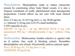 Sympathomimetics | PPTX | Heart and Cardiovascular Diseases | Diseases ...