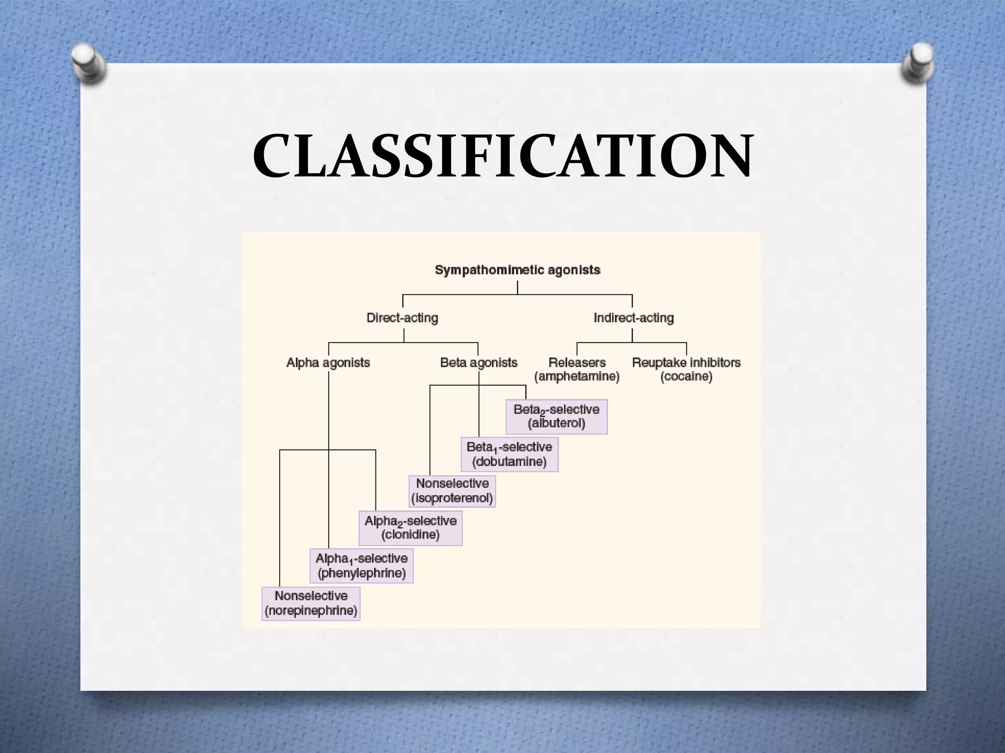 Sympathomimetics | PPTX