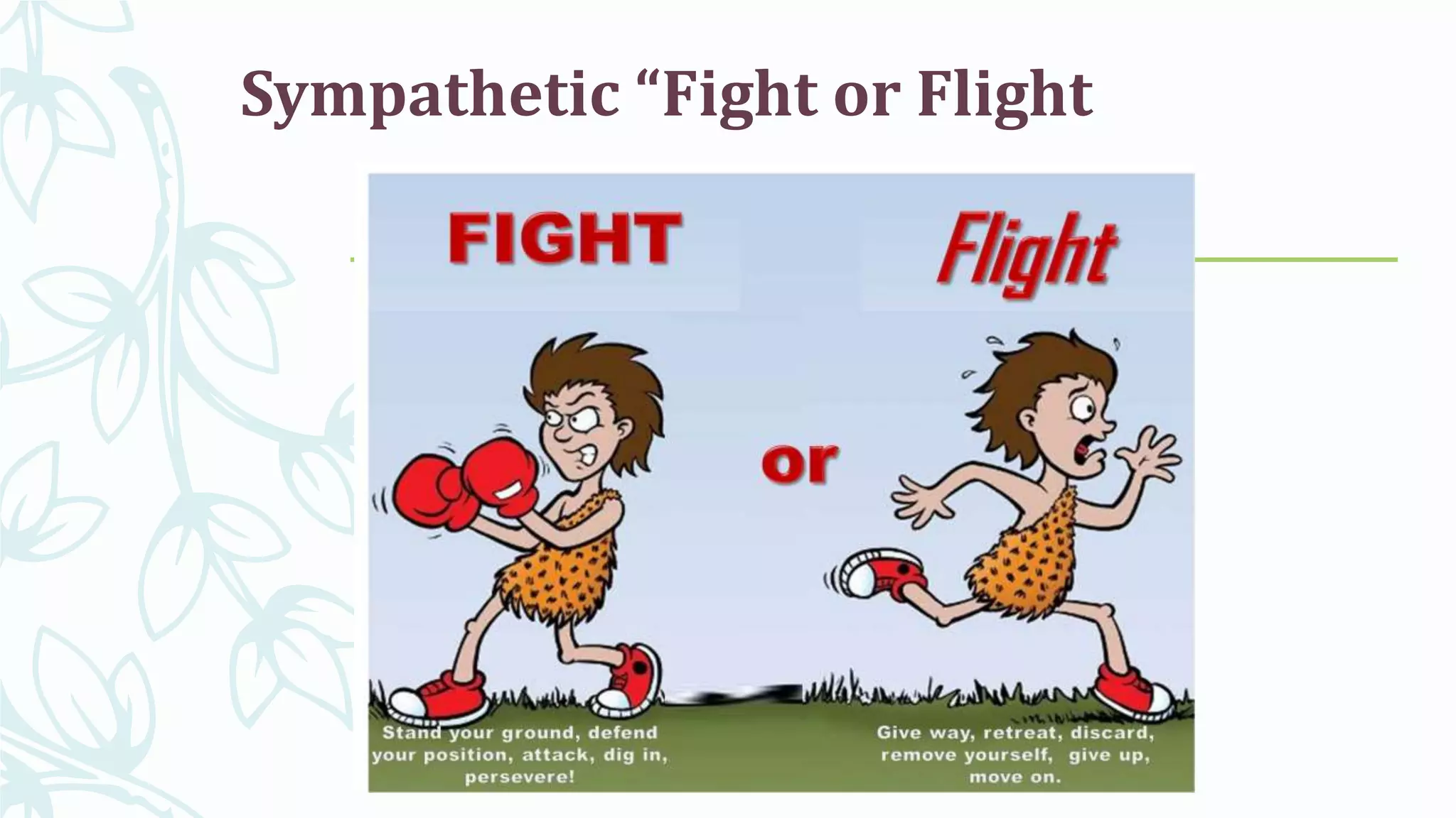 Sympathomimetics | PPTX