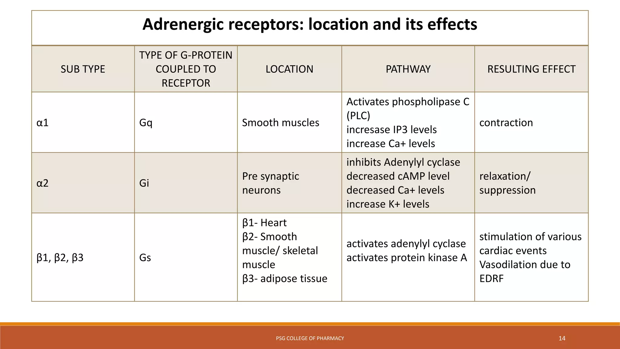Sympathomimetics- pharmacology | PPTX