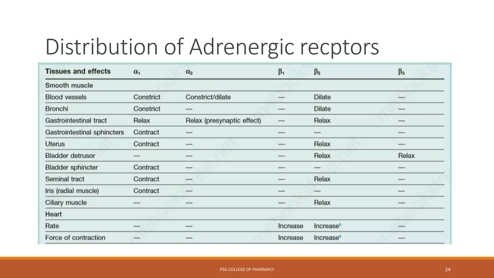 Sympathomimetics- pharmacology | PPTX