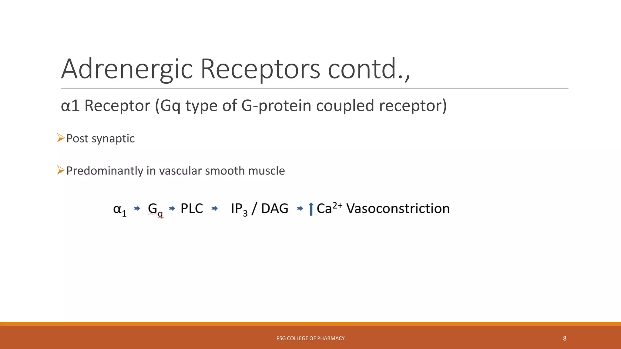 Sympathomimetics- pharmacology | PPTX