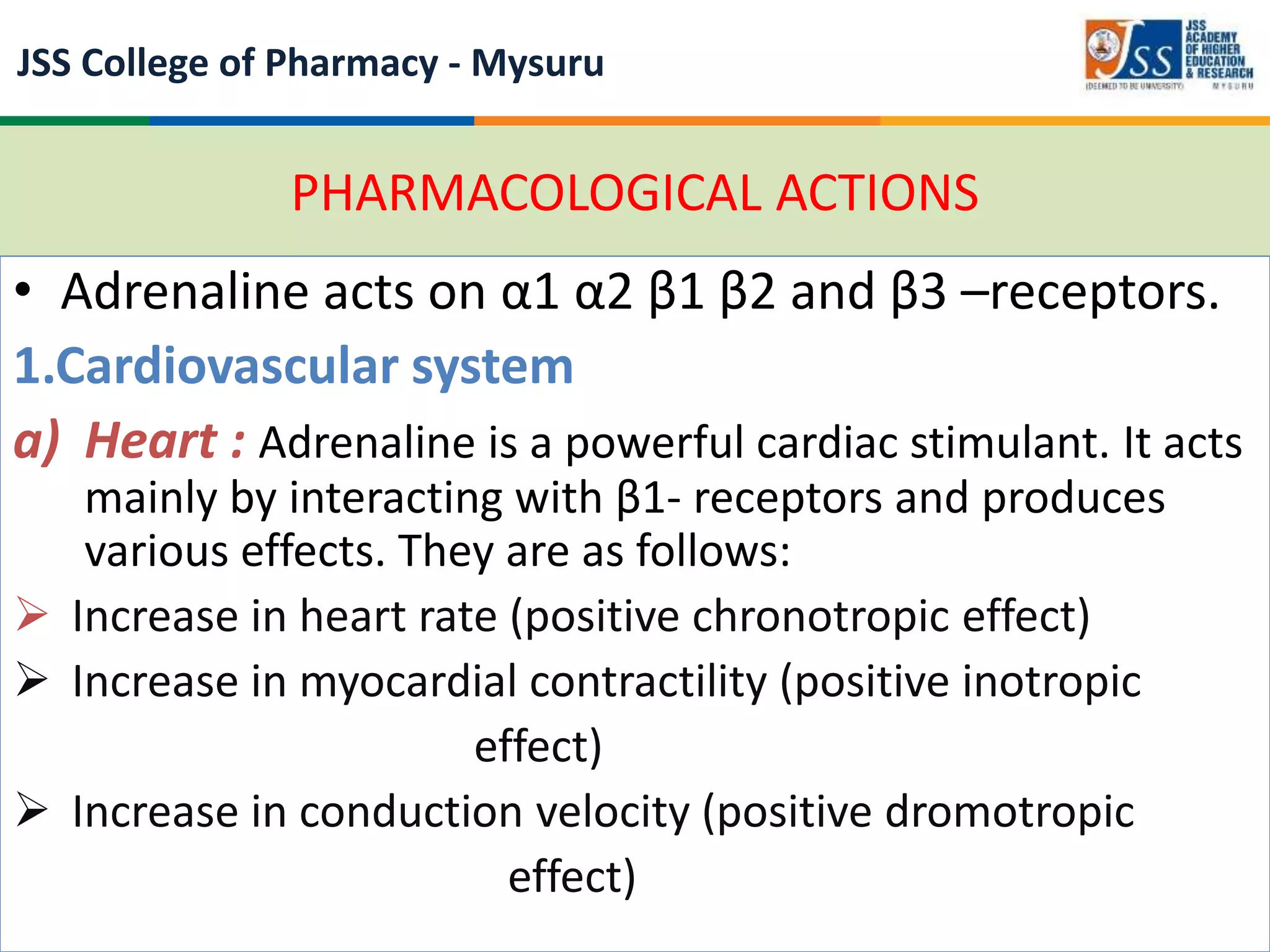 Sympathomimetics | PPTX