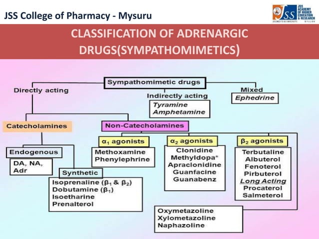 Sympathomimetics | PPTX | Heart and Cardiovascular Diseases | Diseases ...