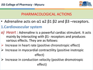 Sympathomimetics | PPTX