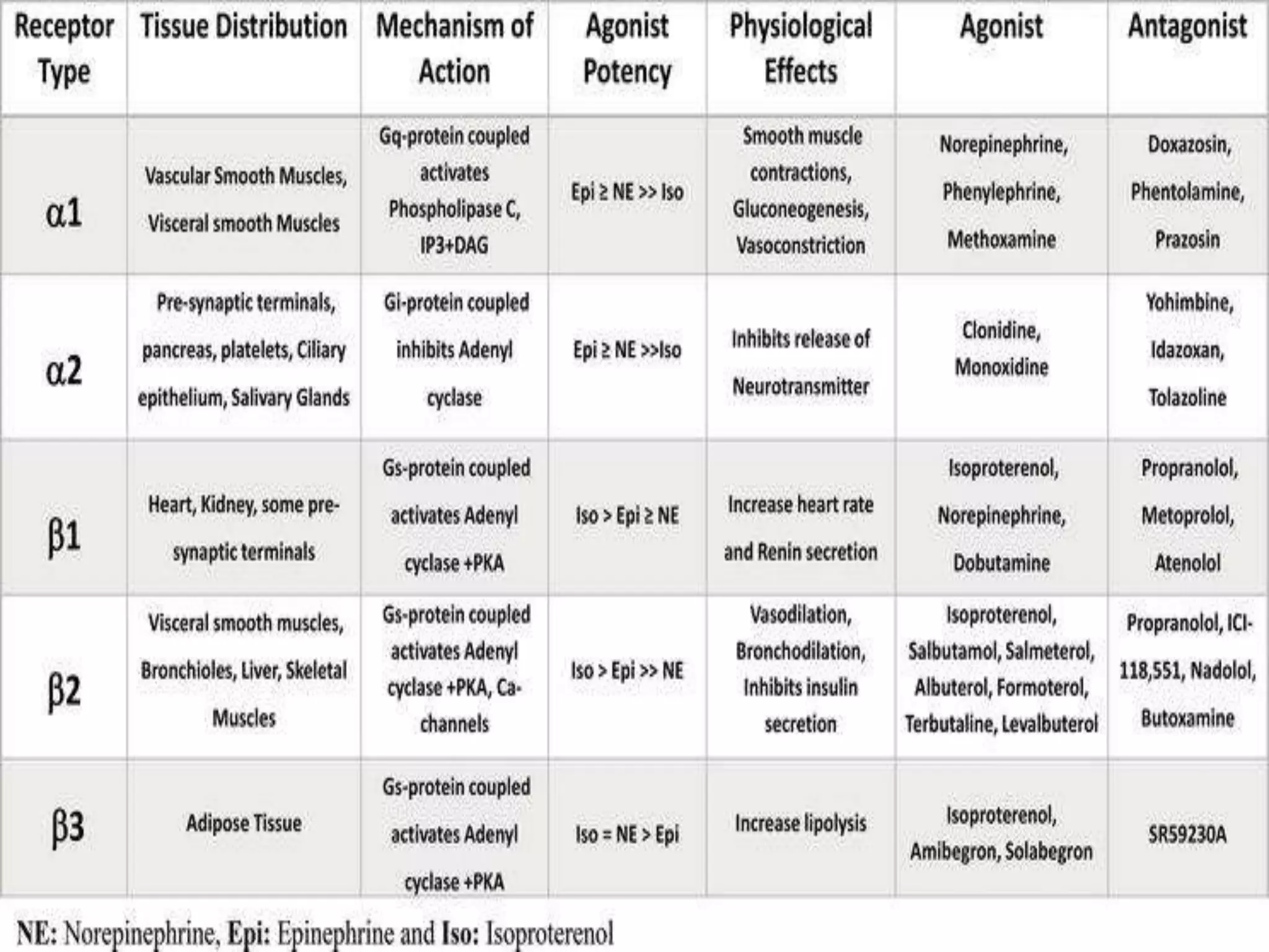 Sympathomimetics / ADRENERGICS / SYMPATHOLYTICS | PPTX
