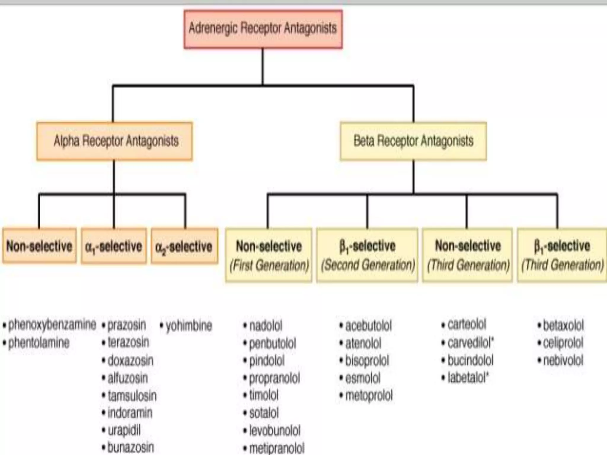 Sympathomimetics / ADRENERGICS / SYMPATHOLYTICS | PPTX