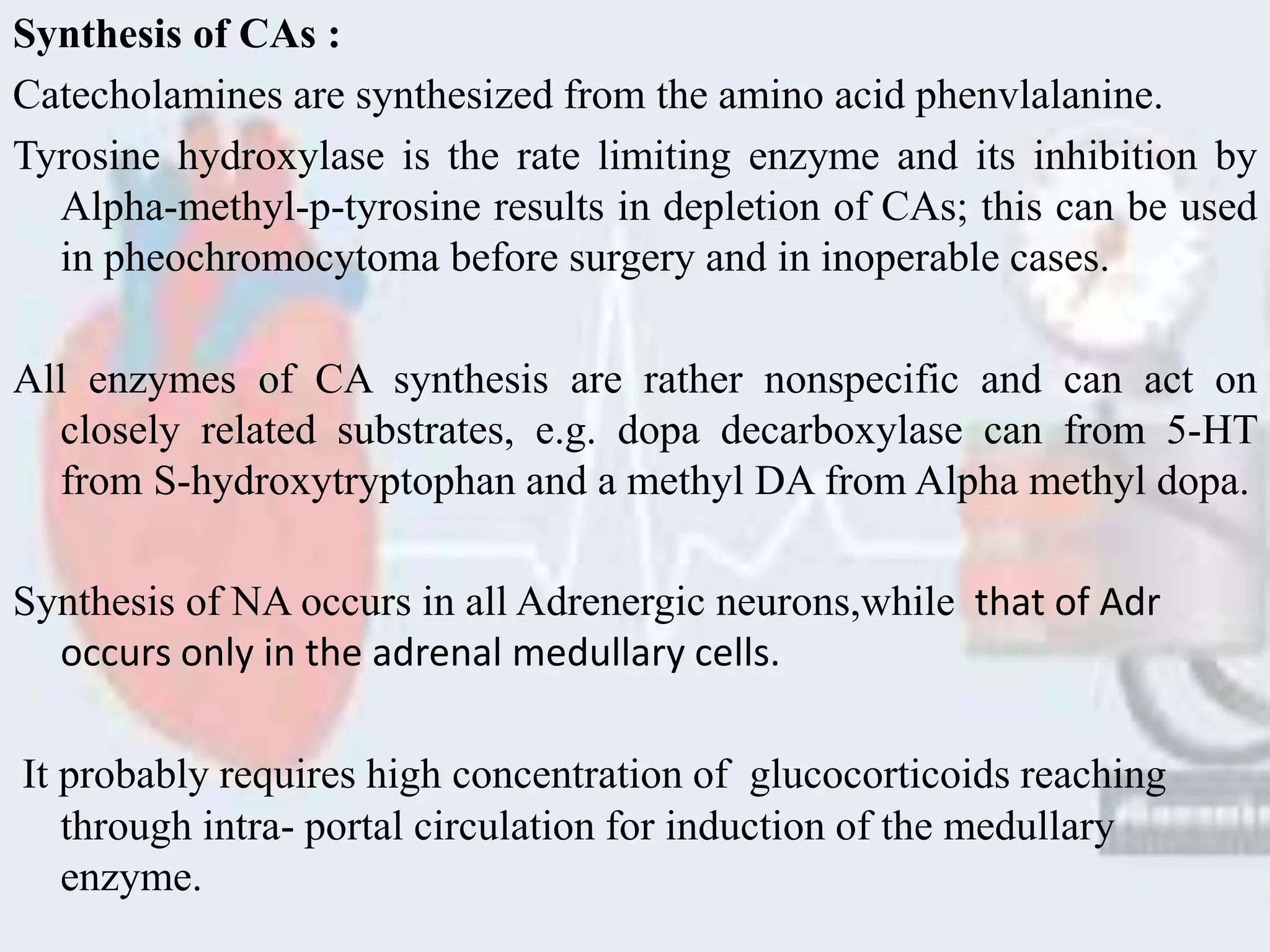 Sympathomimetics / ADRENERGICS / SYMPATHOLYTICS | PPTX