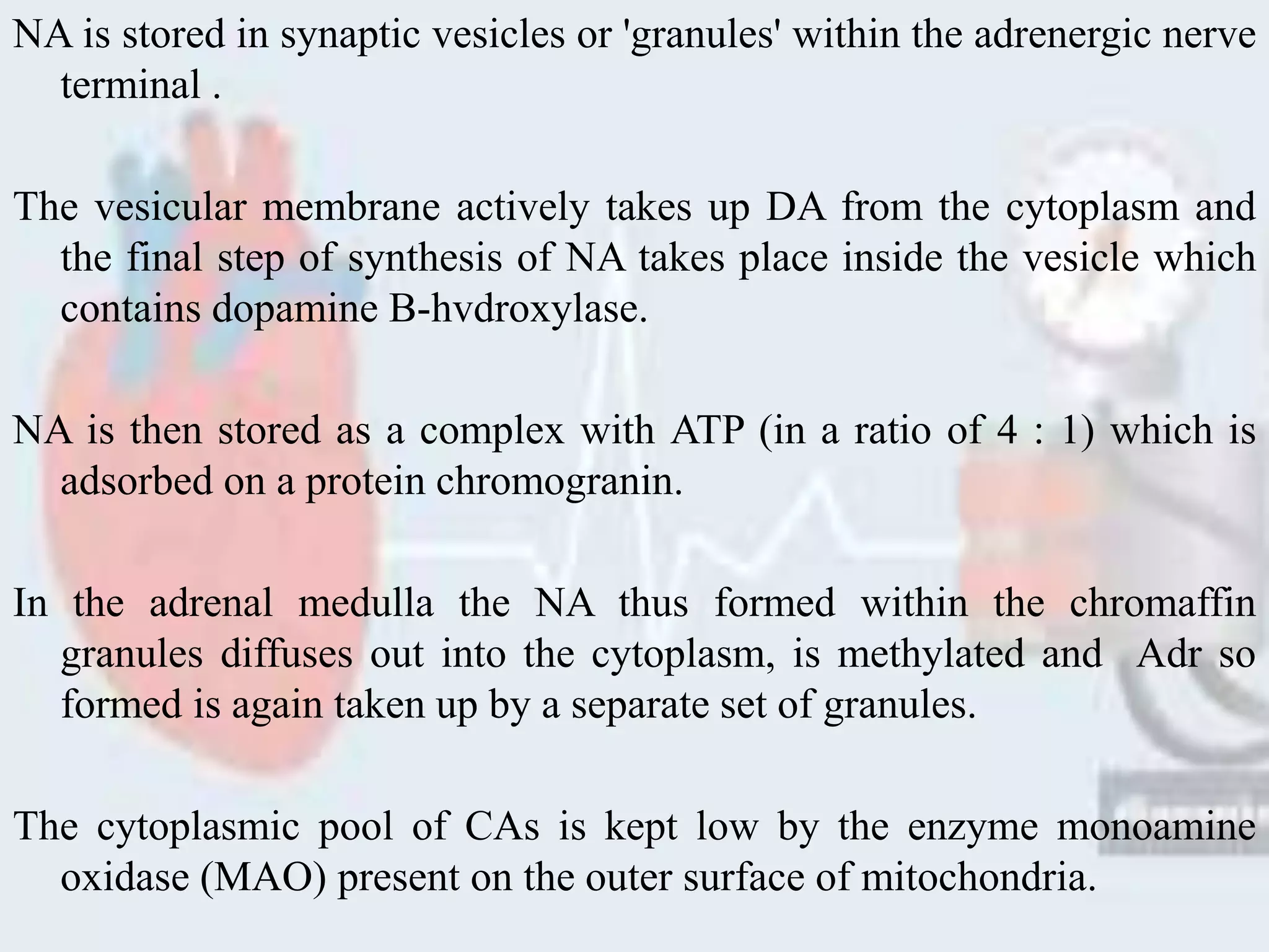 Sympathomimetics / ADRENERGICS / SYMPATHOLYTICS | PPTX