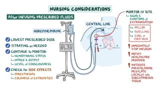 Sympathomimetics | PPT