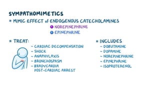 Sympathomimetics | PPT