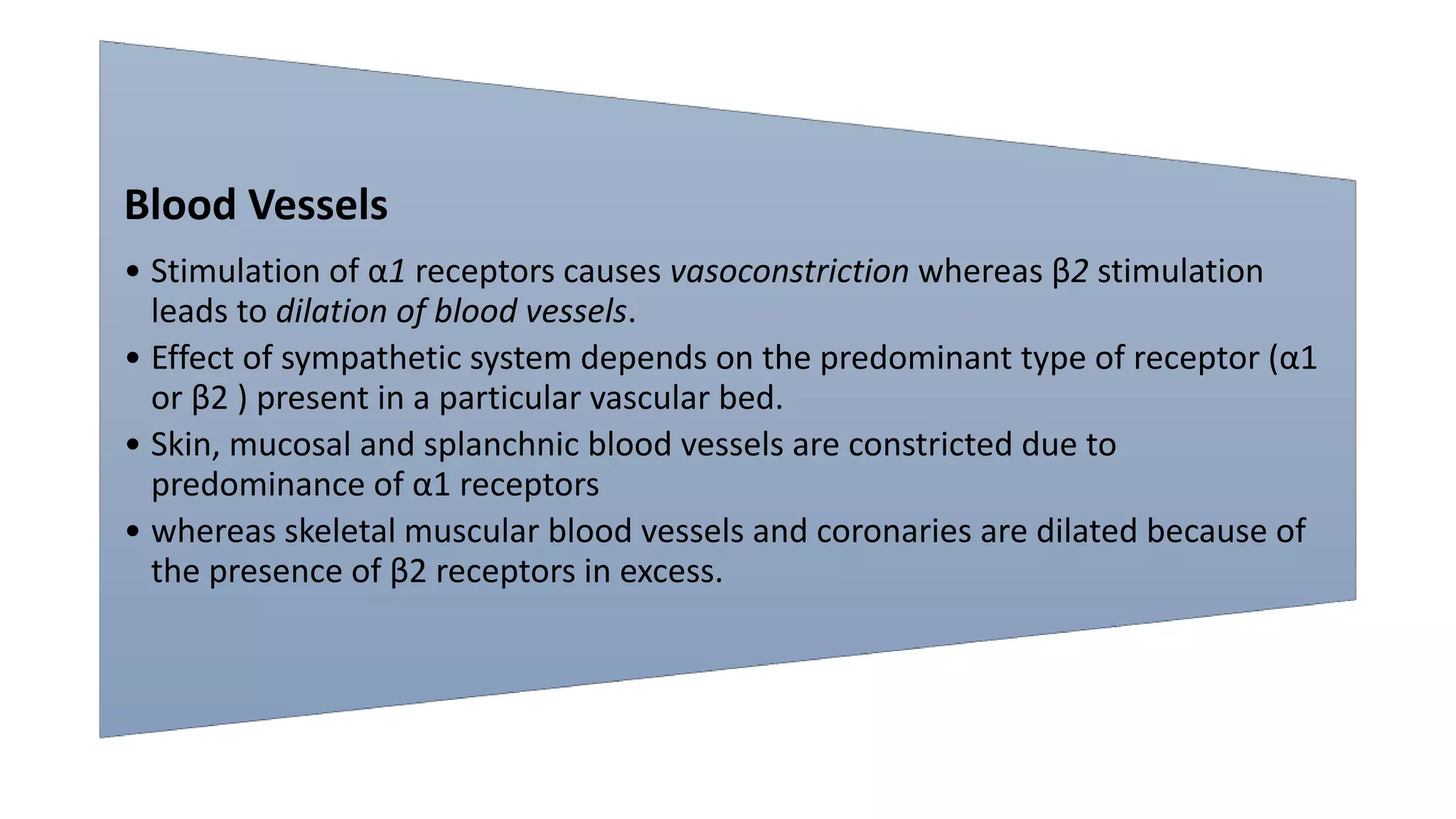 Sympathomimetics.pptx