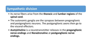 Sympathomimetics.pptx | Brain and Nervous System Disorders | Diseases ...